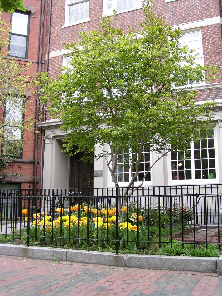 The Learning Project Elementary School (2023 Profile) - Boston, MA