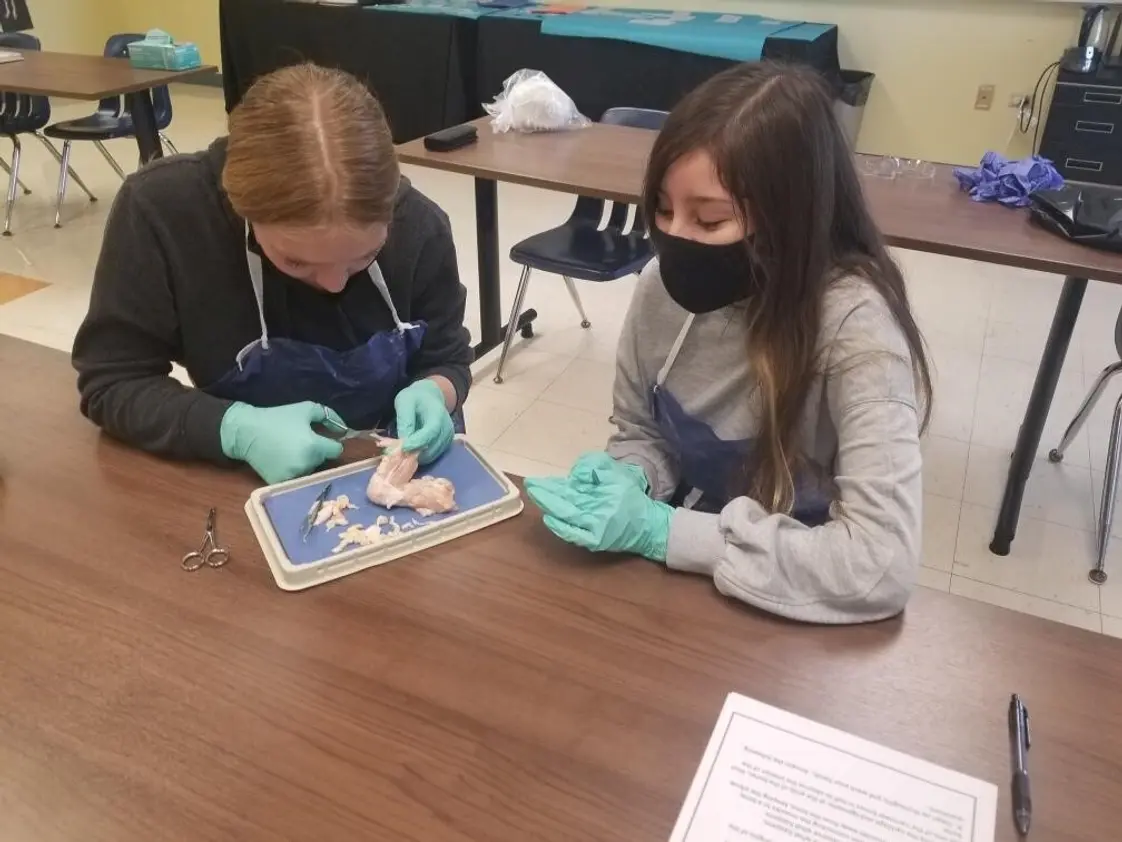 Valeo Academy (2024 Profile) - Hoffman Estates, IL